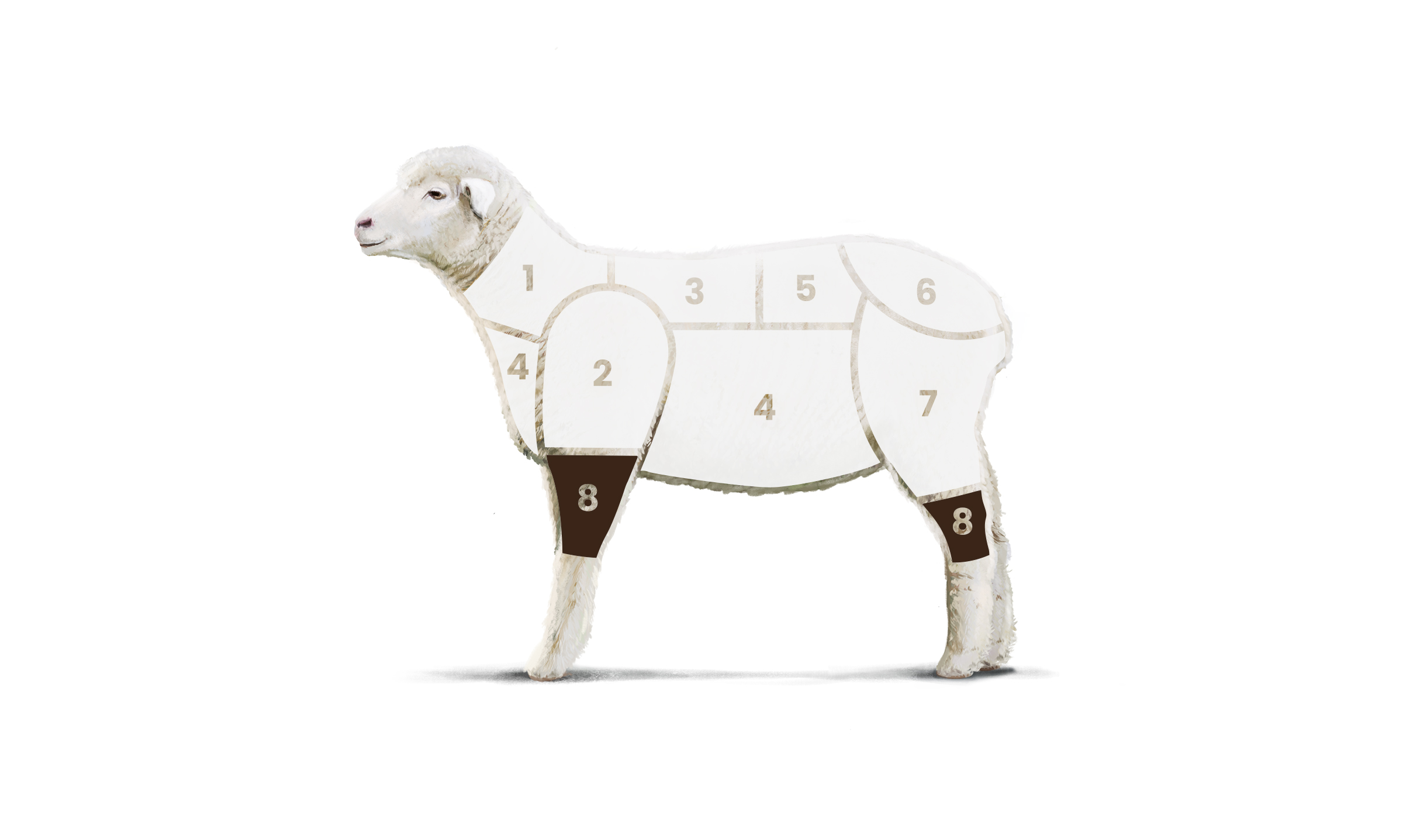 Morceaux de viande d’agneau - Viande Suisse