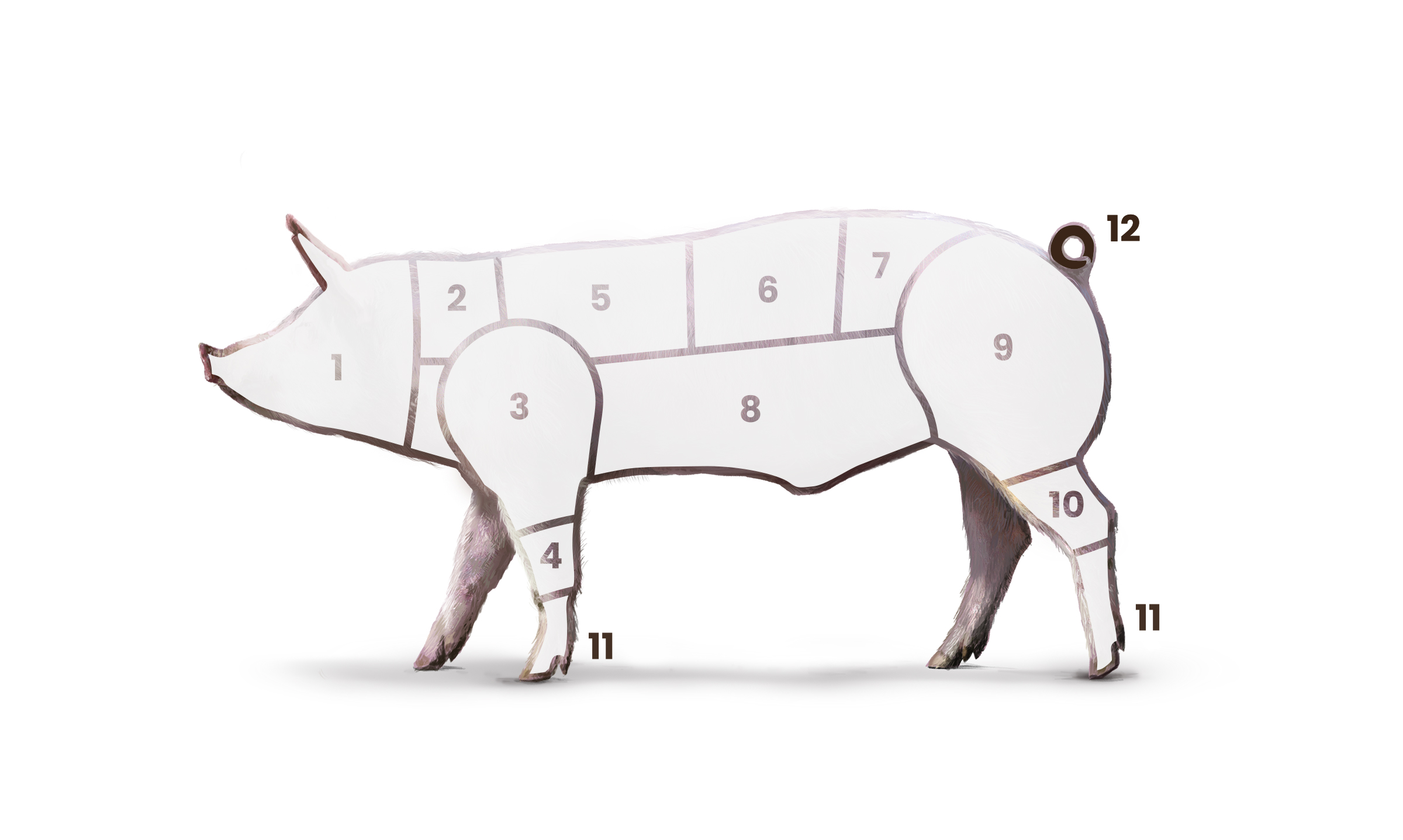 Morceaux de viande de porc - Viande Suisse